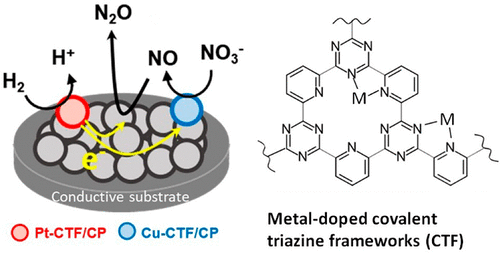 Selective Reduction of Nitrate by a Local Cell Catalyst Composed of ...
