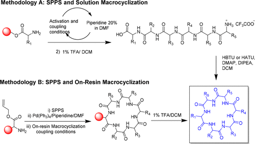 Synthesis of Cyclic Peptides as Potential Anti-Malarials,ACS ...