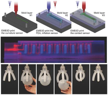Soft Somatosensitive Actuators via Embedded 3D Printing,Advanced ...