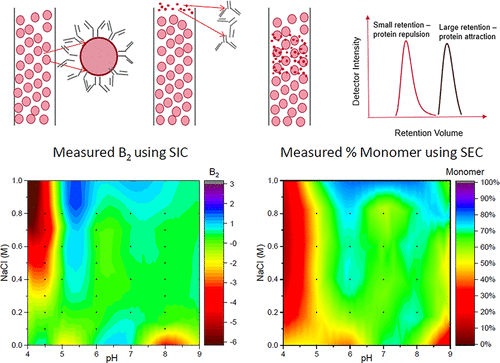 Mapping the mAb Aggregation Propensity Using Self-Interaction ...