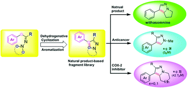 Synthesis of withasomnine and pyrazole derivatives via intramolecular ...