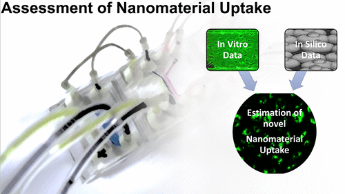 Combinatorial in Vitro and in Silico Approach To Describe Shear-Force ...