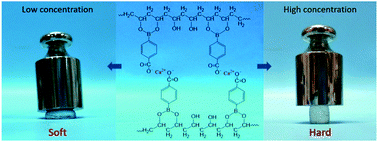 Ultra-tough injectable cytocompatible hydrogel for 3D cell culture and ...