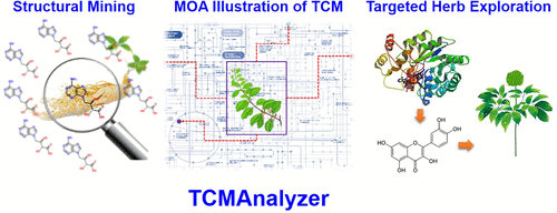 TCMAnalyzer: A Chemo- and Bioinformatics Web Service for Analyzing ...