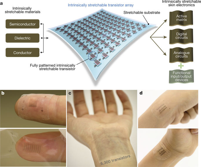 Skin electronics from scalable fabrication of an intrinsically stretchable transistor array ...