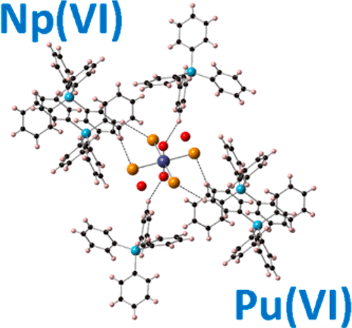 Synthesis, Structure, and Vibrational Properties of [Ph4P]2NpO2Cl4 and ...