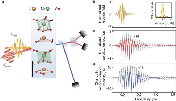 Probing the interatomic potential of solids with strong-field nonlinear phononics,Nature - X-MOL