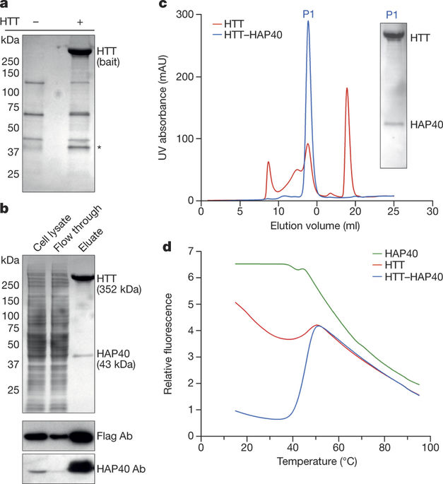 The cryo-electron microscopy structure of huntingtin,Nature - X-MOL