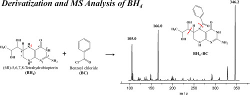 A novel and reliable method for tetrahydrobiopterin quantification ...