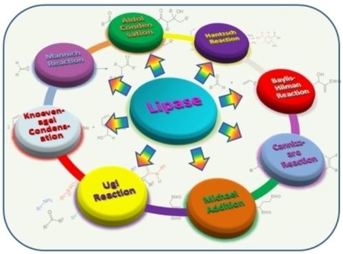 Promiscuity of Lipase‐Catalyzed Reactions for Organic Synthesis: A ...
