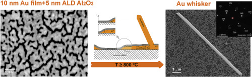 薄钝化 Au 薄膜中的晶须生长,Acta Materialia - X-MOL