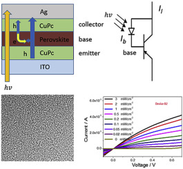 High-gain broadband organolead trihalide perovskite photodetector based on a bipolar ...