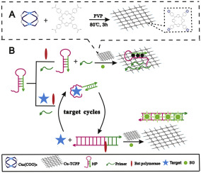 A two dimensional metal–organic framework nanosheets-based fluorescence ...