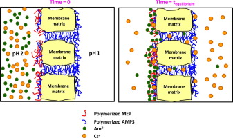 Phosphate Barrier on pore-filled cation-exchange membrane for blocking ...