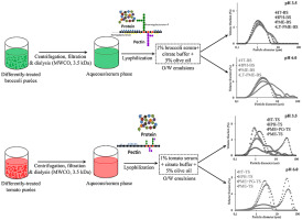 来自西兰花和番茄泥的过程诱导的水溶性生物聚合物：它们的分子结构与其乳液稳定能力有关,Food Hydrocolloids - X-MOL