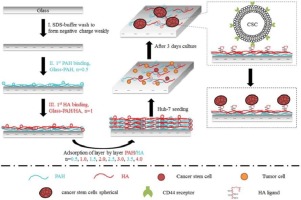 Recent advances and perspectives on capture and concentration of label ...