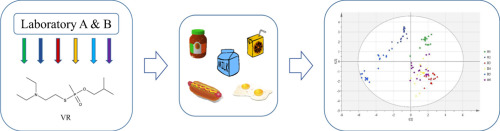 Part 2: Forensic attribution profiling of Russian VX in food using ...