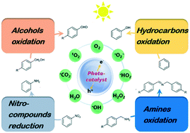 Modification of heterogeneous photocatalysts for selective organic ...