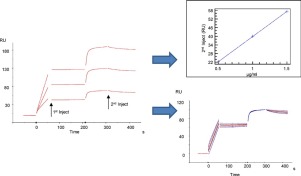 Beyond conventional dose-response curves: Sensorgram comparison in SPR ...