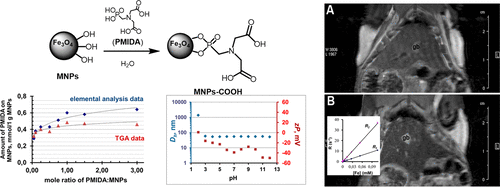PMIDA-Modified Fe3O4 Magnetic Nanoparticles: Synthesis and Application ...