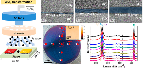 Selection Role of Metal Oxides into Transition Metal Dichalcogenide ...