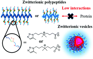 Zwitterionic polypeptides bearing carboxybetaine and sulfobetaine: synthesis, self-assembly, and ...