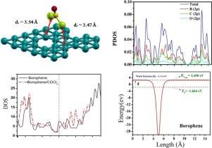 A new flatland buddy as toxic gas scavenger: a first principles study ...