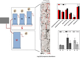 Reactor staging influences microbial community composition and ...