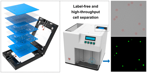 Automated Microfluidic Instrument for Label-Free and High-Throughput Cell Separation