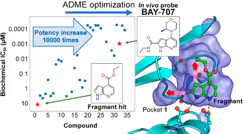 使用基于片段的筛选和基于结构的药物设计，创建一类新型的有效和选择性的MutT同源1（MTH1）抑制剂。,Journal of ...