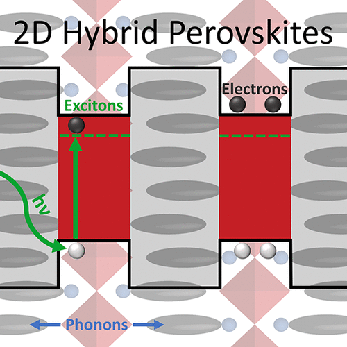 Electrons, Excitons, and Phonons in Two-Dimensional Hybrid Perovskites ...