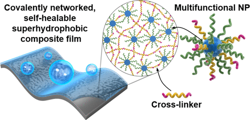 Rationally Designed, Multifunctional Self-Assembled Nanoparticles for ...