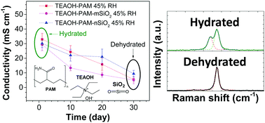 The effect of SiO2 additives on solid hydroxide ion-conducting polymer ...