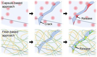 防腐外源自我修复研究综述：基于微胶囊的系统与基于核-壳血管网络的系统的比较,Chemical Engineering Journal - X-MOL