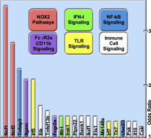 Association of NOX2 subunits genetic variants with autoimmune diseases ...