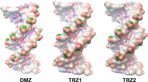 Computer-Aided Drug Discovery: Molecular Docking of Diminazene Ligands ...
