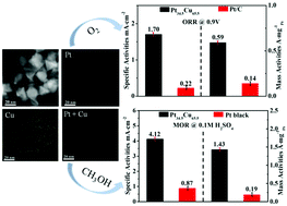Composition-driven shape evolution to Cu-rich PtCu octahedral alloy ...