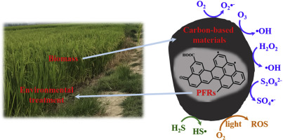 Persistent free radicals in carbon-based materials on transformation of ...