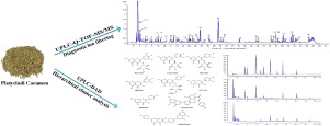 通过UPLC-Q-TOF-MS / MS和UPLC-DAD对侧柏中的生物活性化合物进行化学分析和定量,Journal of Pharmaceutical and Biomedical ...