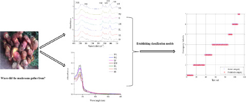 Geographic identification of Boletus mushrooms by data fusion of FT-IR ...