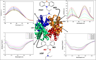 Interaction of promethazine and adiphenine to human hemoglobin: A ...