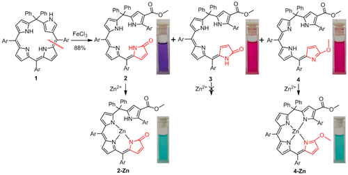 Regioselective Oxidative Ring Cleavage of a Phlorin Analogue: An Approach for Synthesizing ...