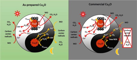 Efficient removal of methyl orange using Cu 2 O as a dual function ...