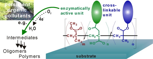Multifunctional crosslinkable itaconic acid copolymers for enzyme ...