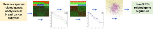 Expression of reactive species related genes is associated with patient ...