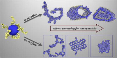 Self-assembly of rarely polymer-grafted nanoparticles in dilute ...