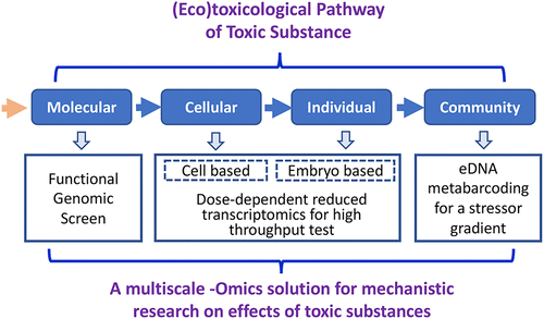 Omics Advances in Ecotoxicology,Environmental Science & Technology - X-MOL