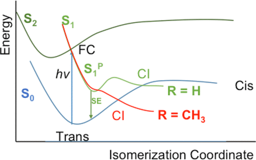 How Methylation Modifies the Photophysics of the Native All-trans ...