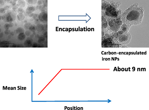 Evolution of Nanoparticles in the Gas Phase during the Floating ...