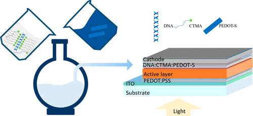 DNA Based Hybrid Material for Interface Engineering in Polymer Solar ...